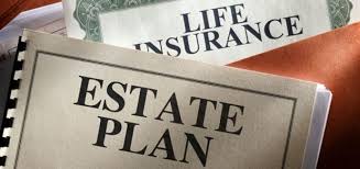 The Impact of Life Insurance on Intergenerational Wealth Transfer and ...